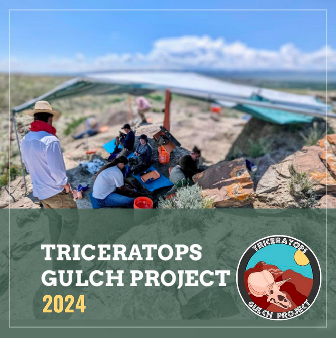 TRICERATOPS GULCH PROJECT DIG - Dinosaur Trips