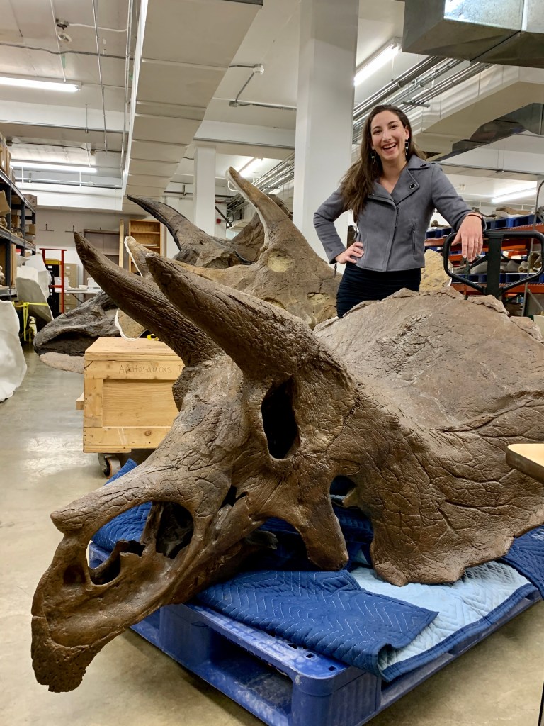 Working with Dinosaurs: A Q&A with Amy Atwater, Dinosaur Ridge ...