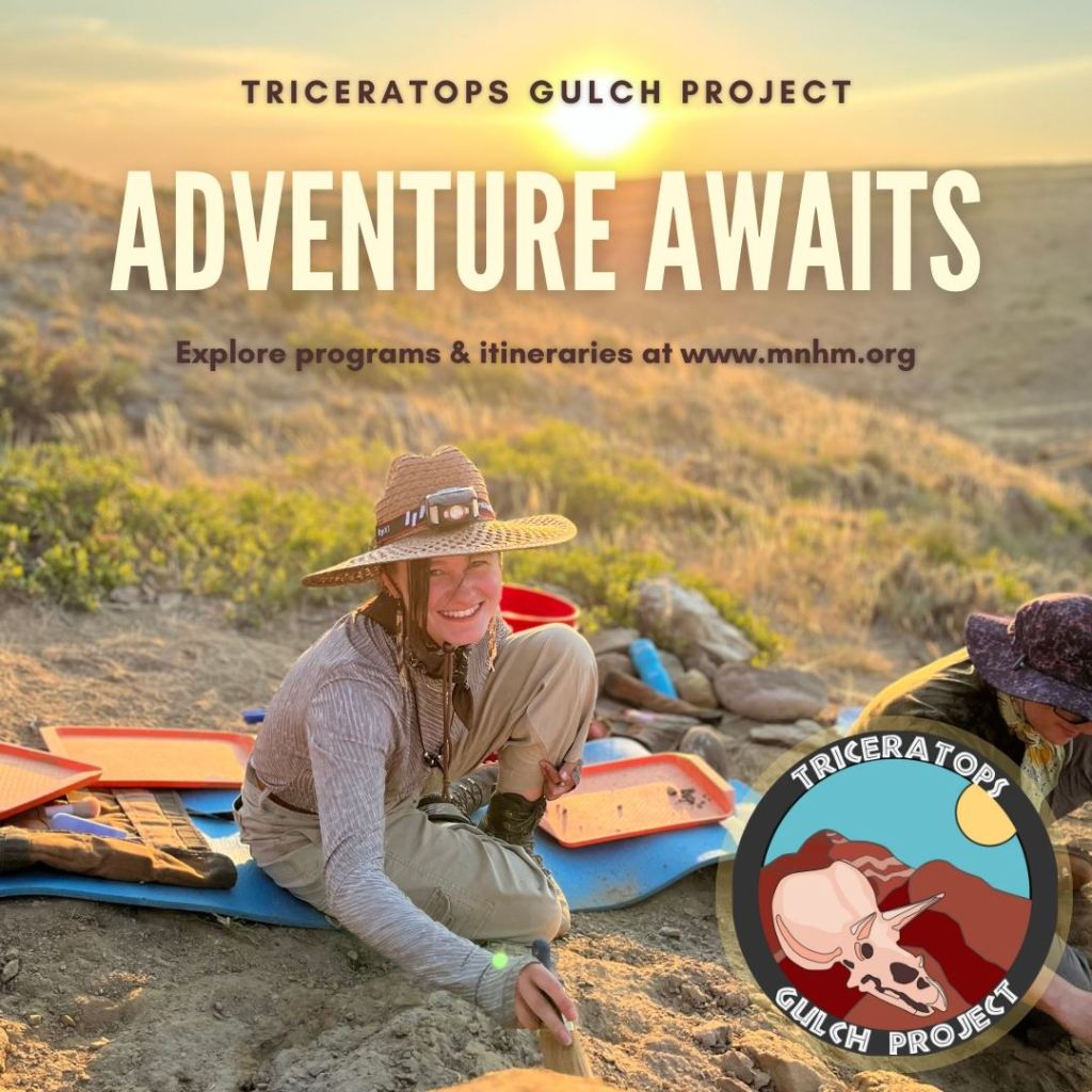 TRICERATOPS GULCH PROJECT DIG - DINOSAUR TRIPS